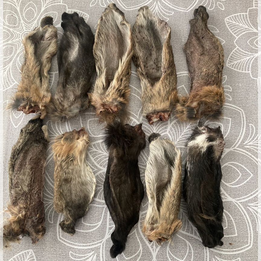 Лакомство для собак