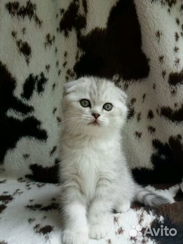 Солнечный мальчик