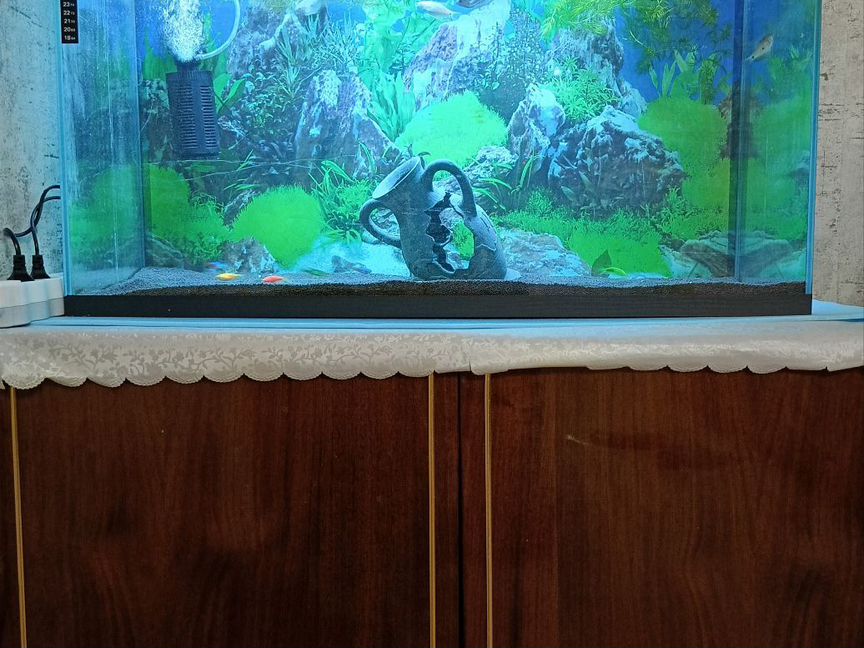 Аквариум 100л с тумбой