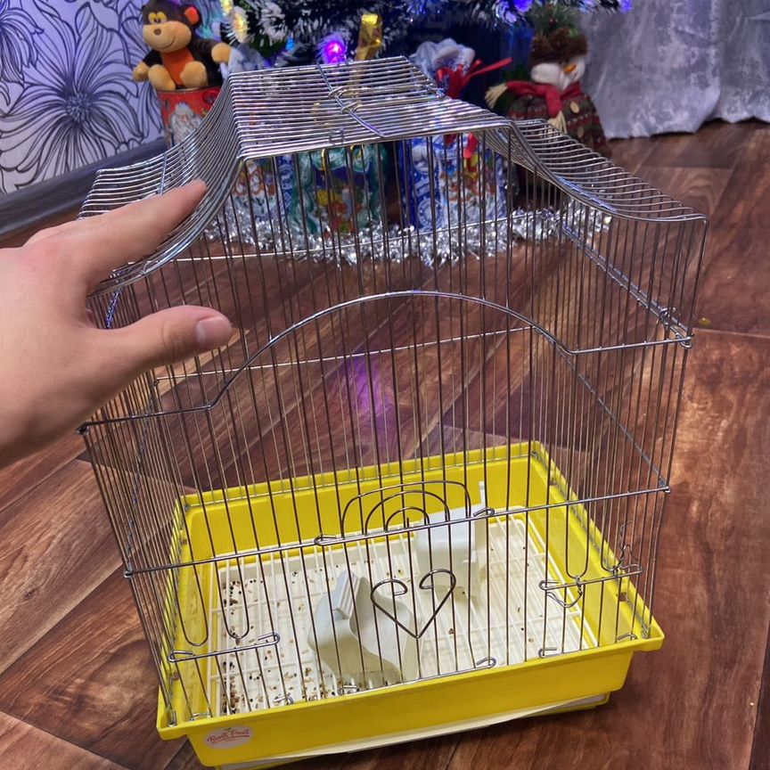 Обмен на одну птицу амадин