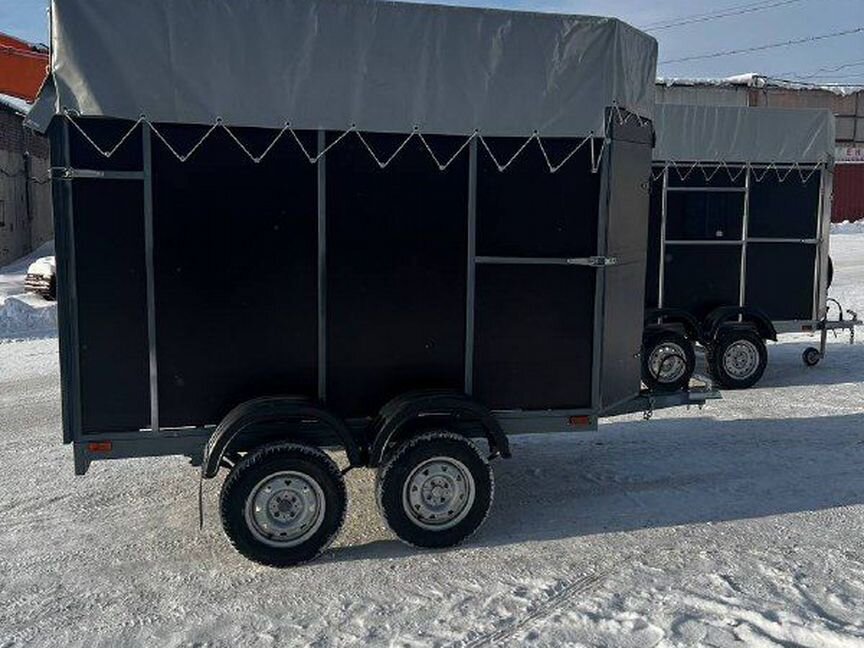 Коневоз-прицеп