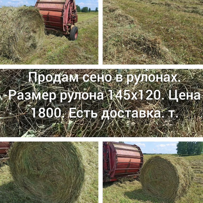 Сено в рулонах