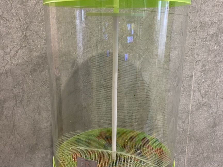 Бабочкарий