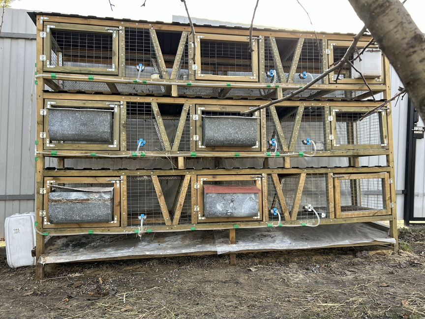 Клетки для кроликов