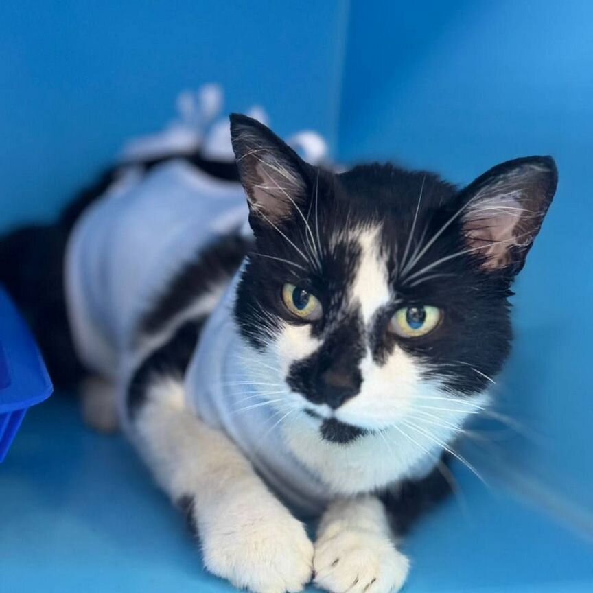 Прекрасной Берёзке не место на улице. Семья заметь