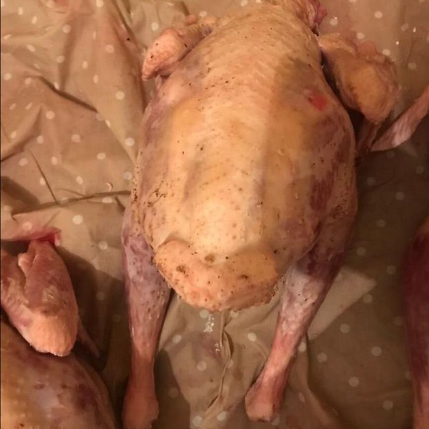 Продаю индюки и индюшки