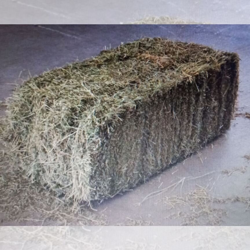 Сено в тюках