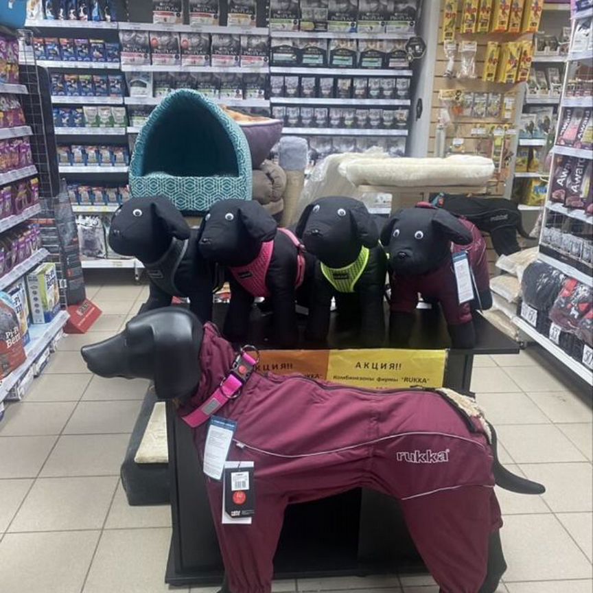 Костюм для собаки