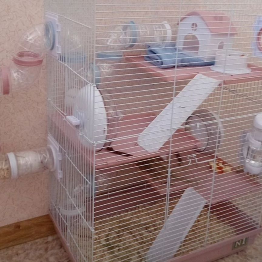 Клетка для грызунов бу