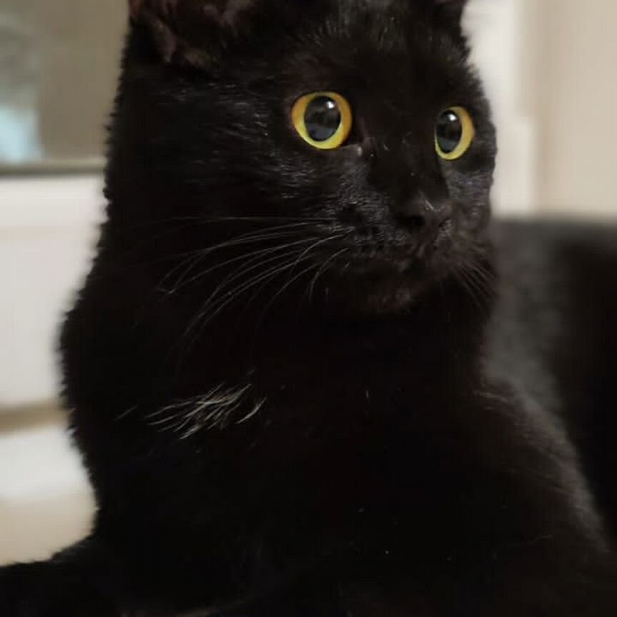 Найдись пожалуйста моя семья