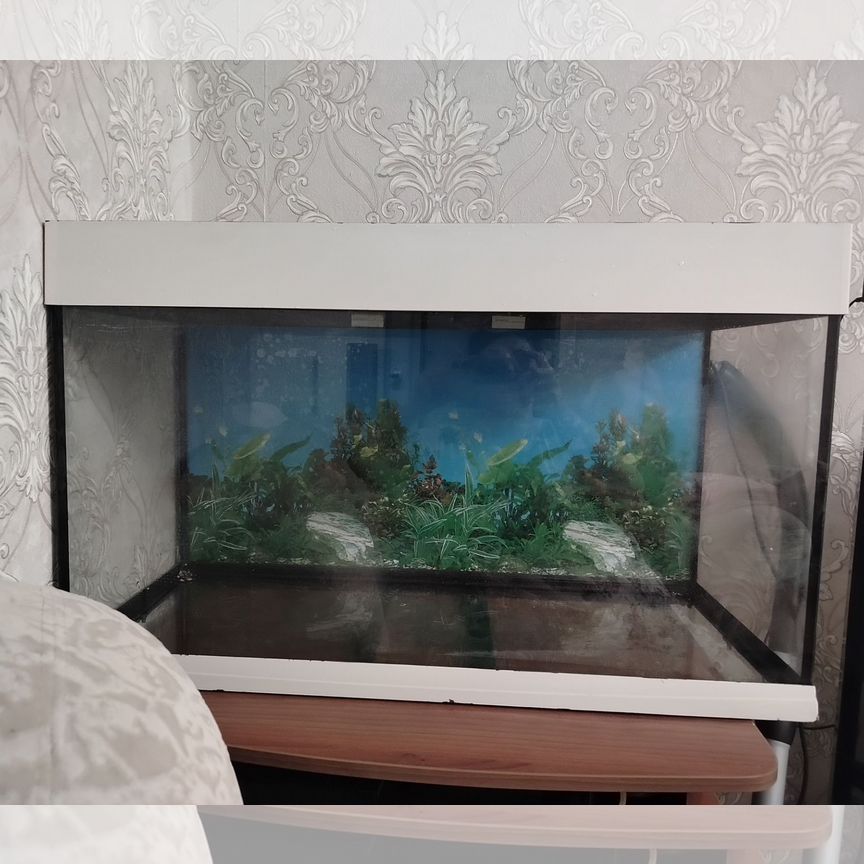 Аквариум 100 л все в наборе