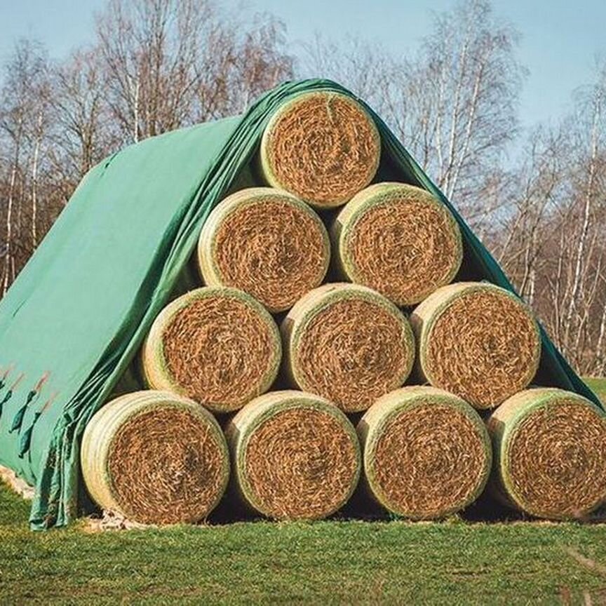 Флис