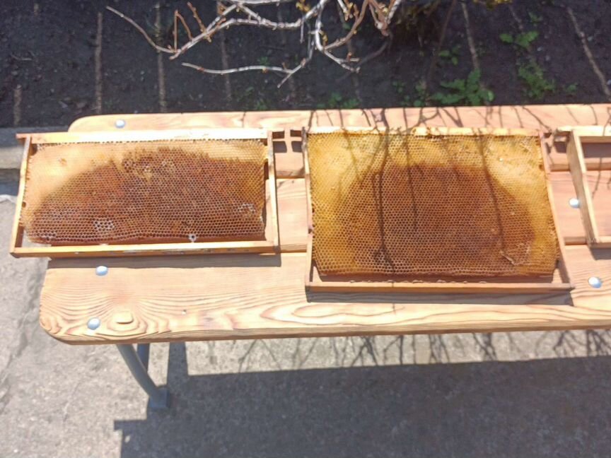 Рамки пчелинные с сушью и без