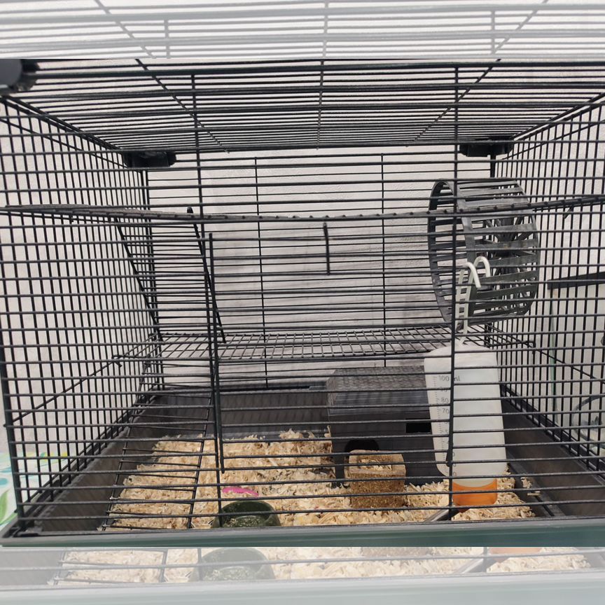 Клетка для грызунов большая бу