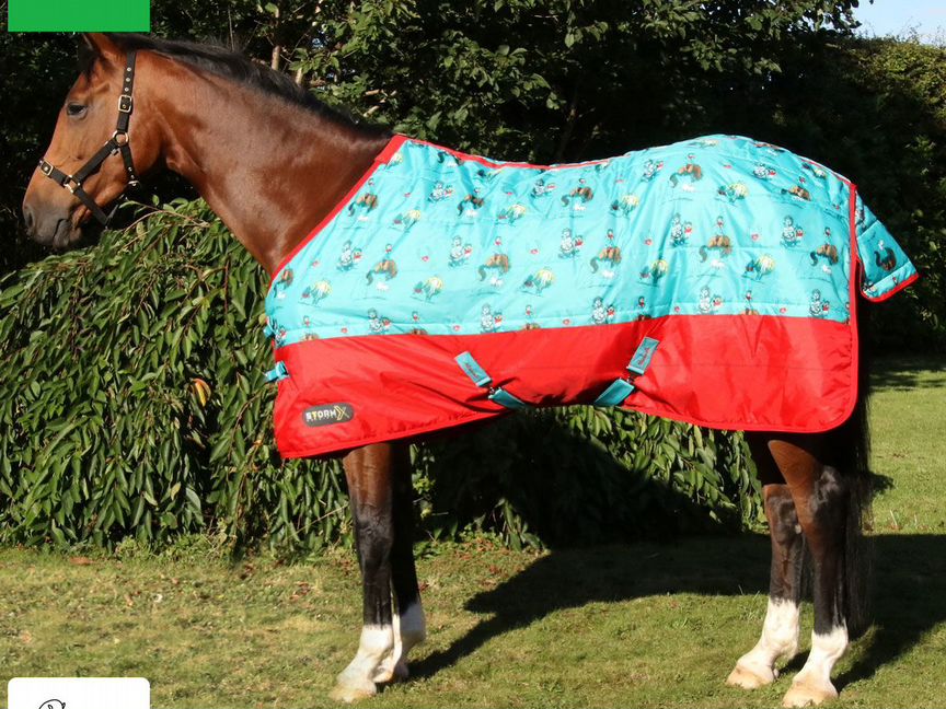 Попона денниковая StormX Collection The Greatest