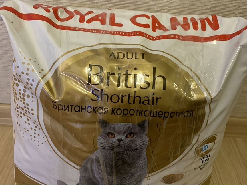 Сухой корм Royal Canin British Shorthair Adult