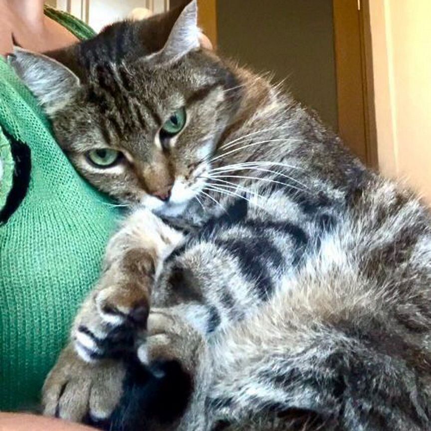 Красивая зеленоглазая девочка