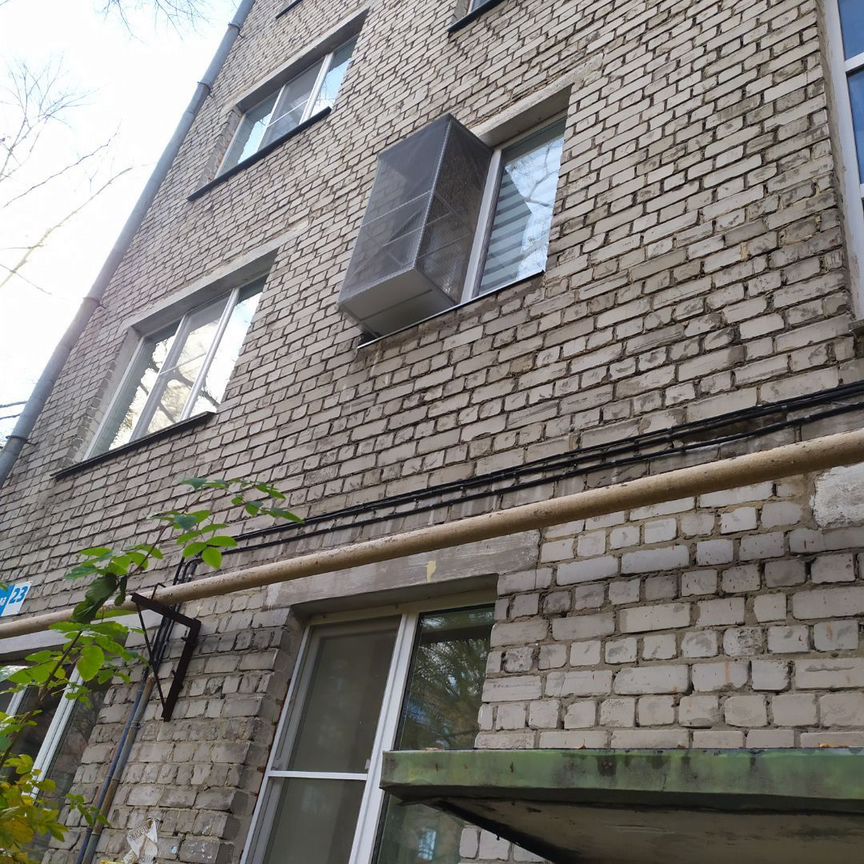 Балкон для питомца