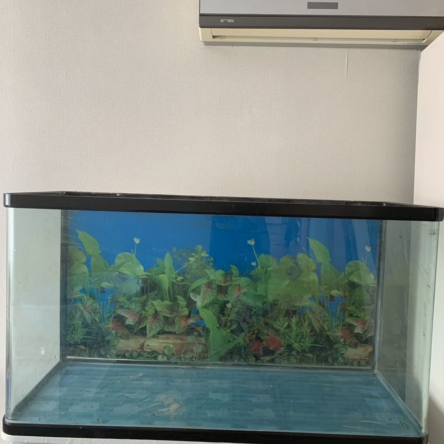 Аквариум 310 литров