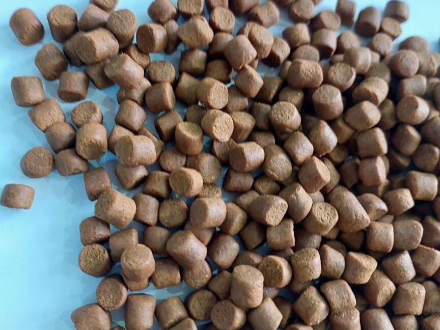 Корм для карпа