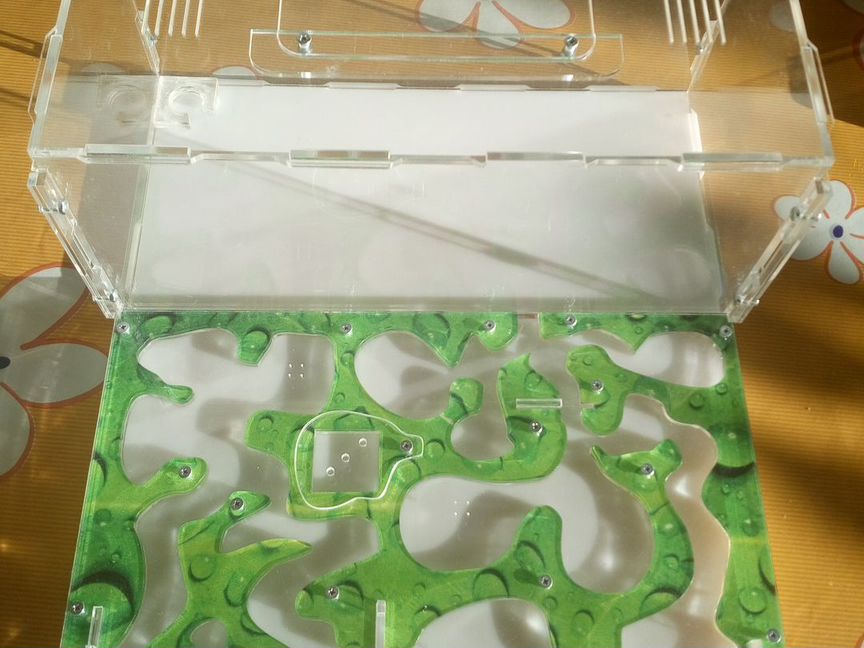 Фармикарий, муравьина ферма Премиум