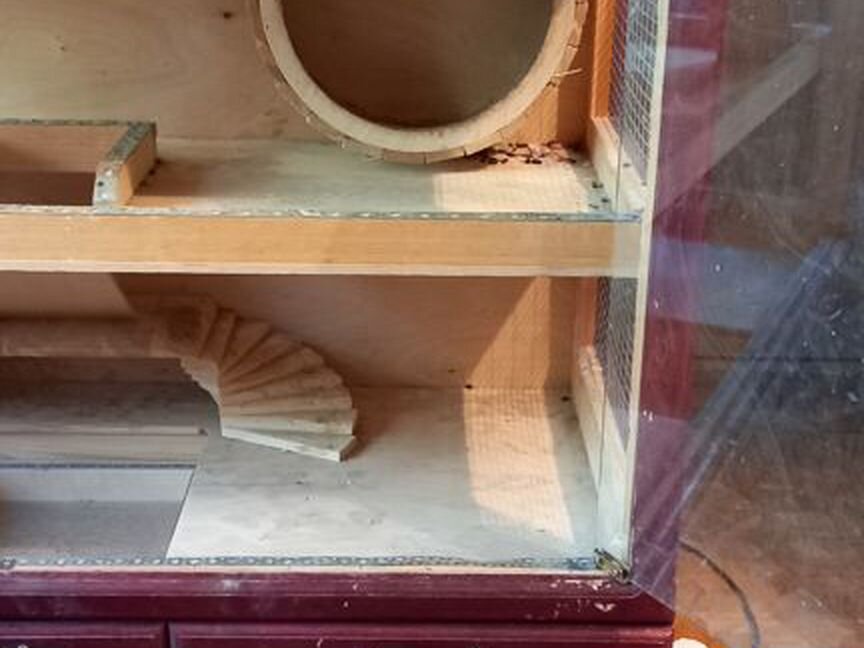 Витрина для дегу