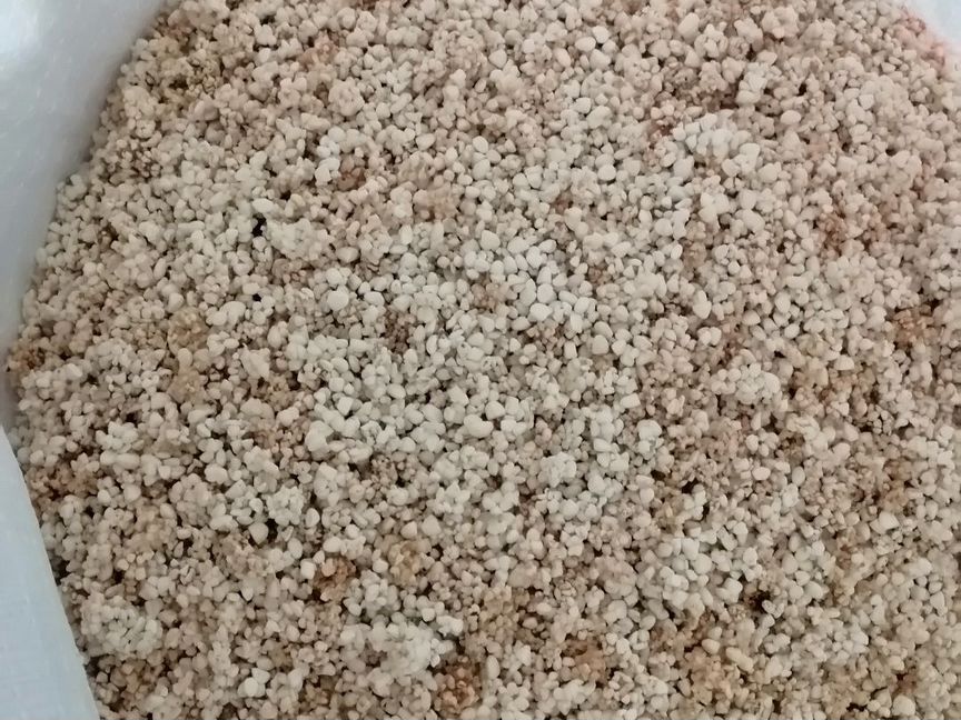 Корм для свиней и собак