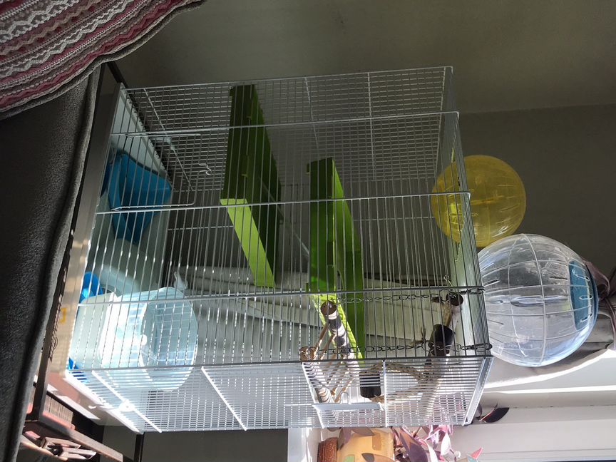 Клетка для хомяка ferplast