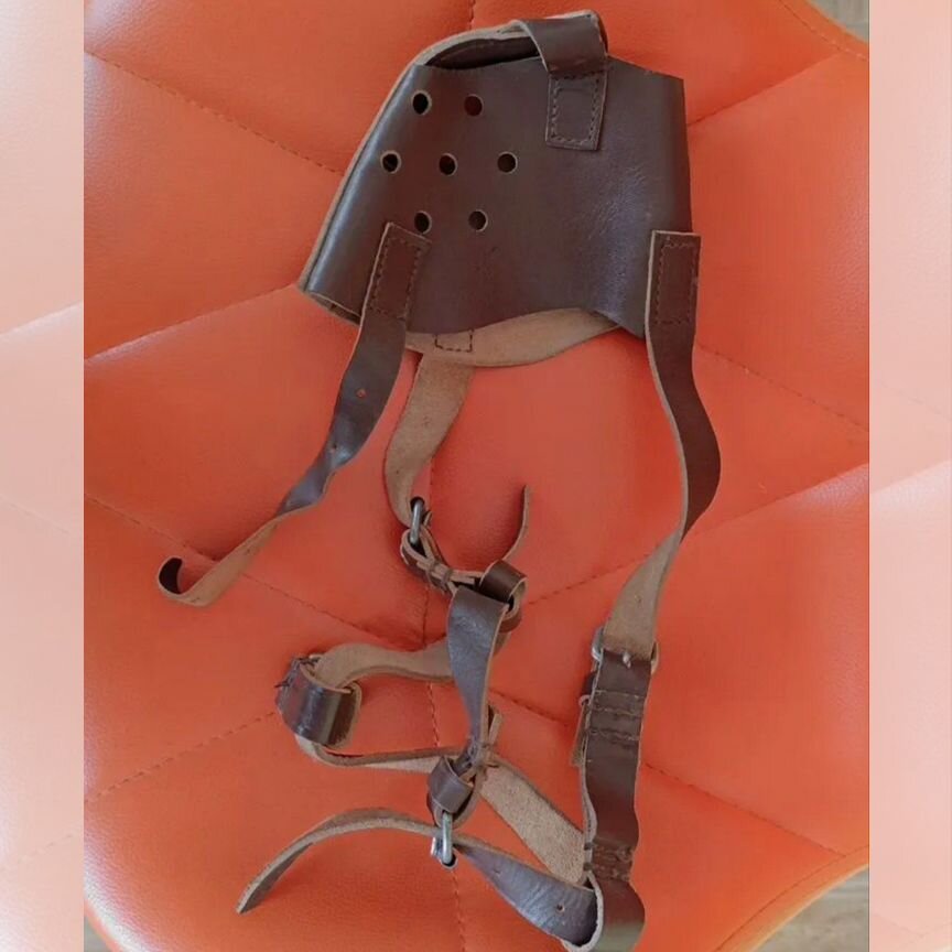 Намордник и строгий ошейник