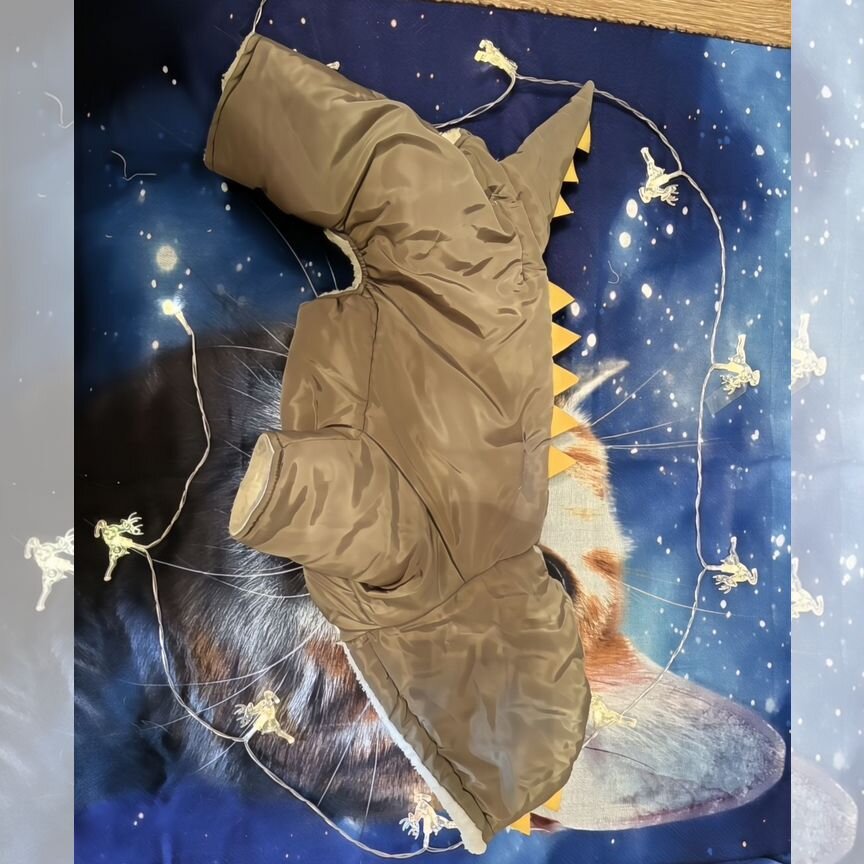 Одежда для собак