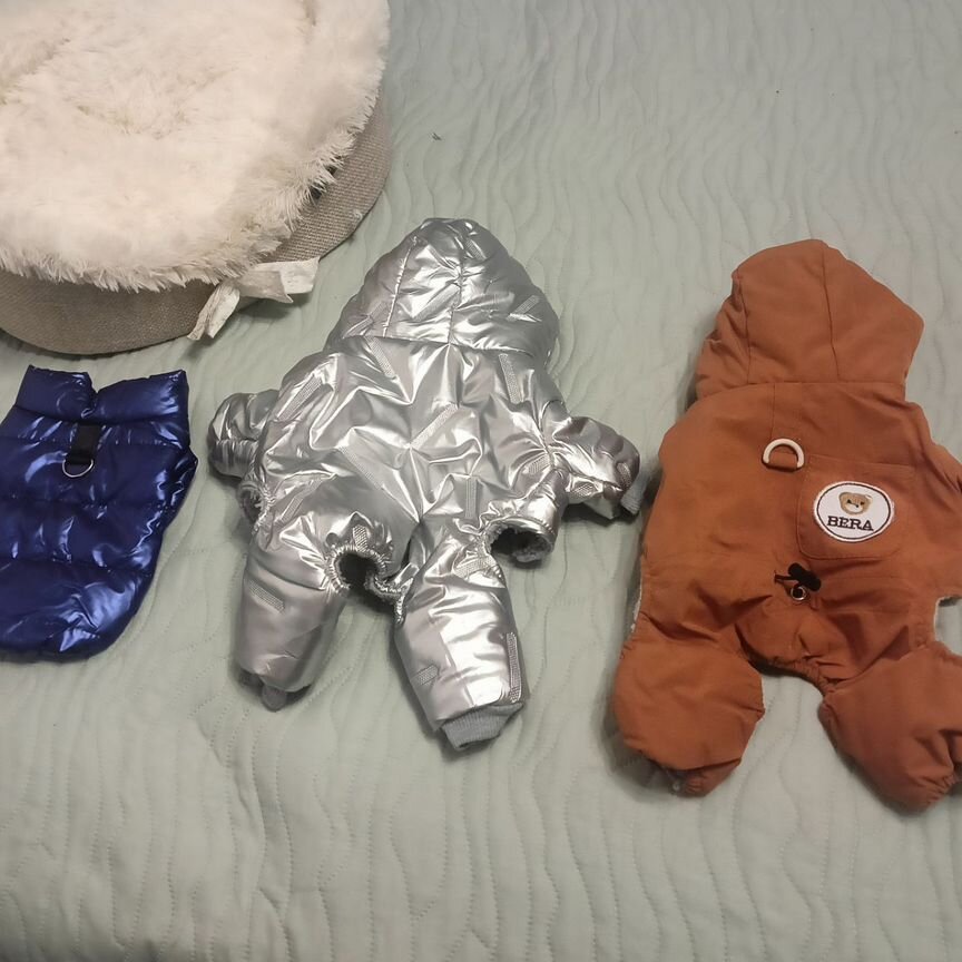 Вещи для маленьких собак