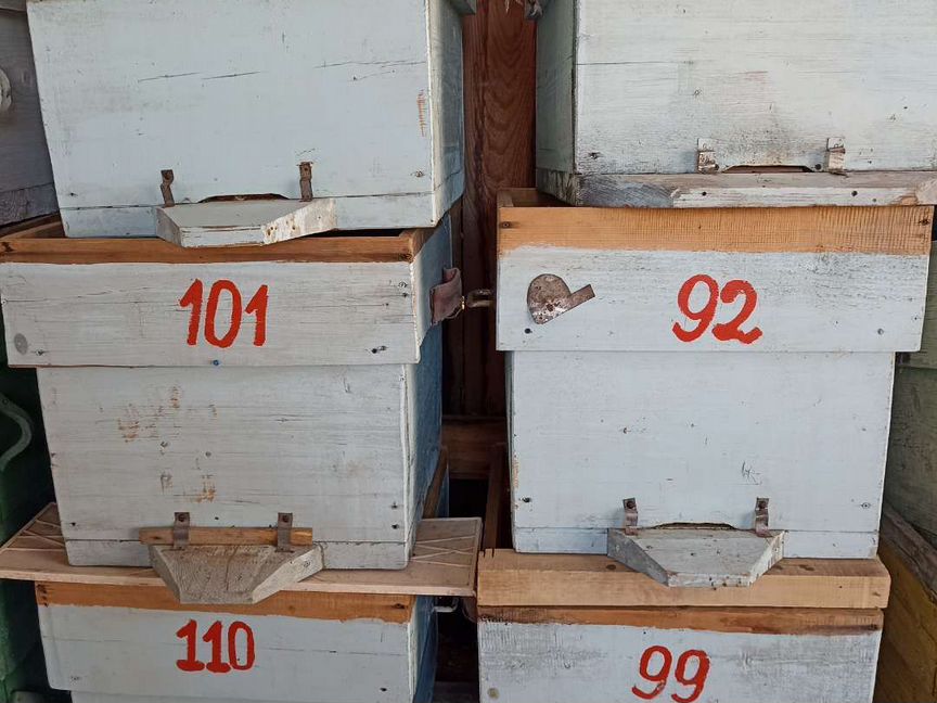 Продам ульи для пчел