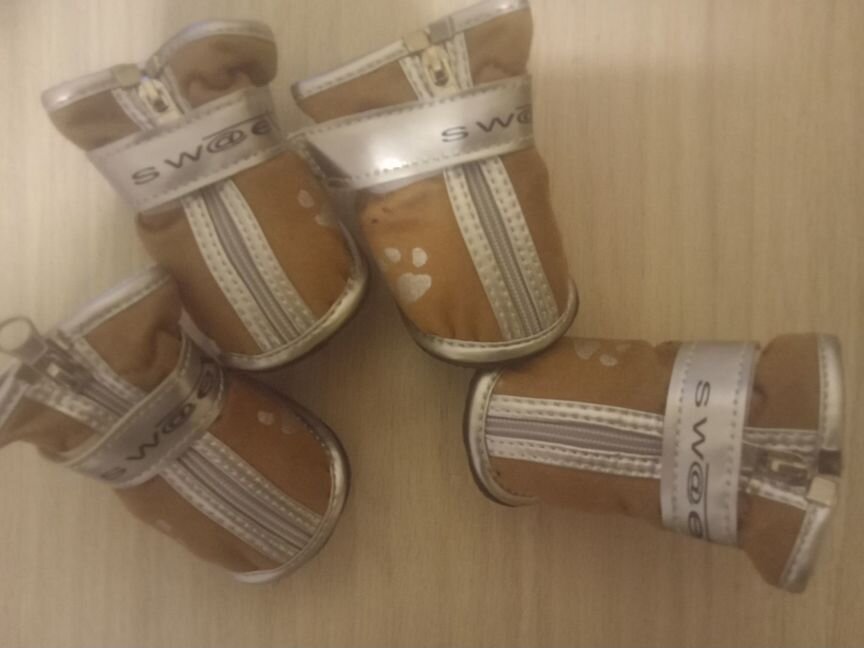 Ботинки для собак