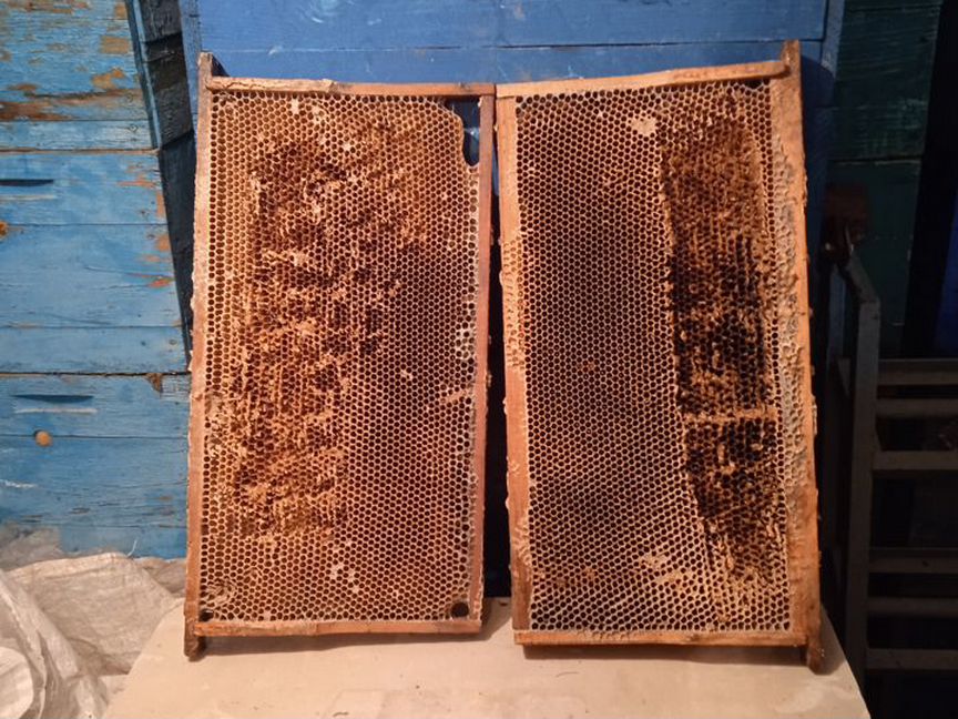 Рамки для пчел(сушь)