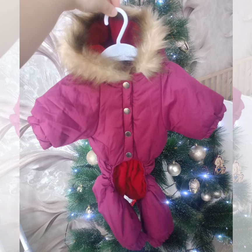 Зимняя одежда для собак мелких пород