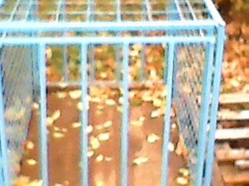 Клетка для перевозки крупных животных