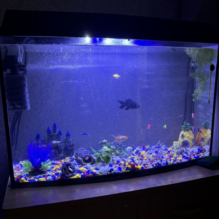 Аквариум 110 литров
