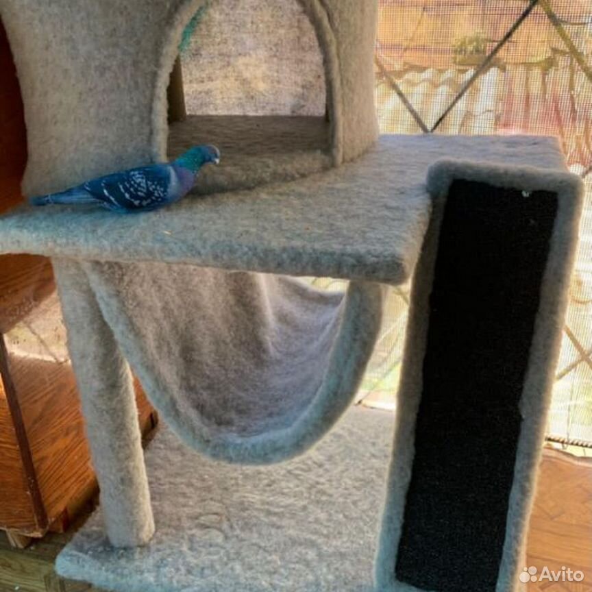 Домик у моря для котиков