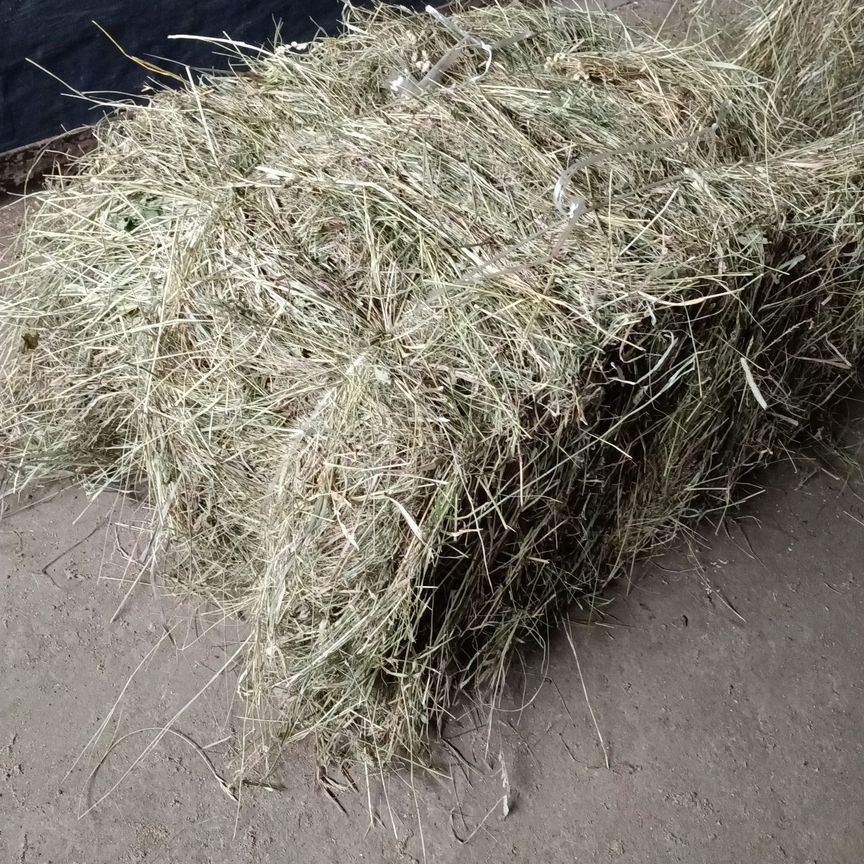 Сено в брикетах свердловская область