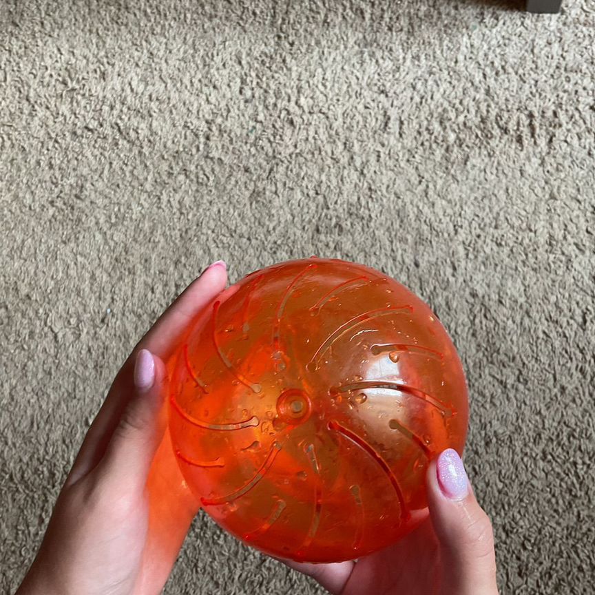 Беговой шар для хомяка