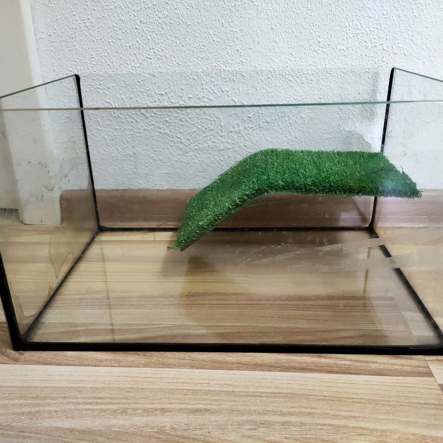 Террариум для черепахи