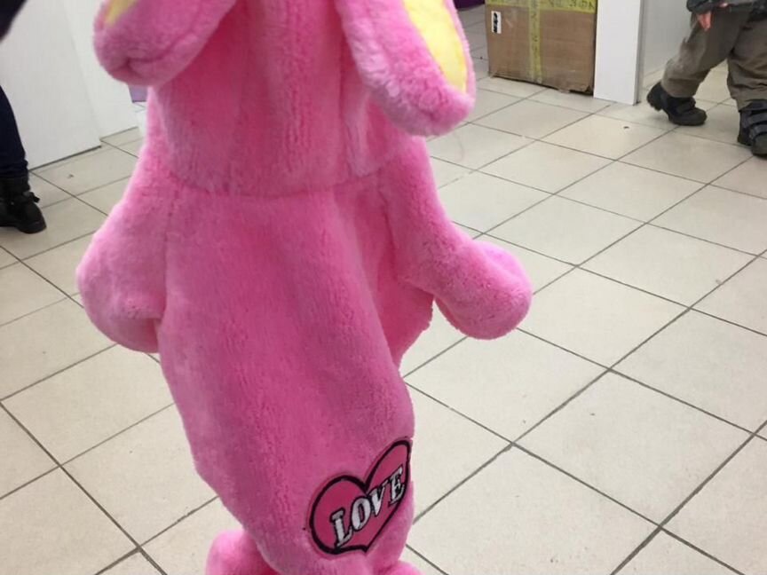 Костюм для котенка «зайчик» для, размер М