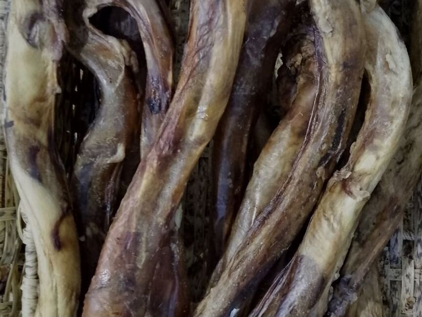 Конский корень