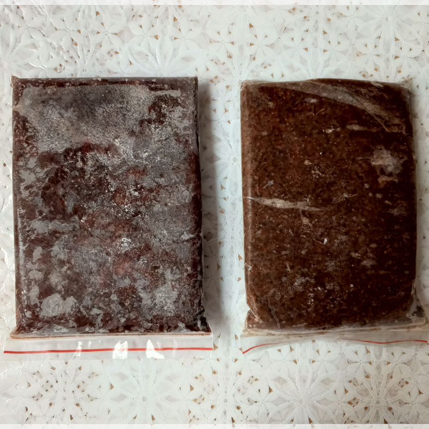 Мотыль, артемия