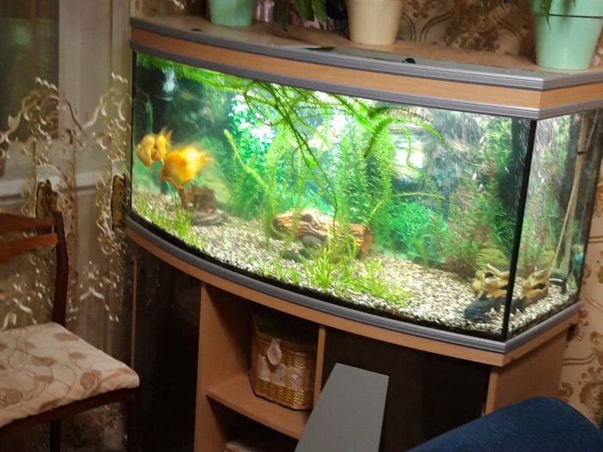 Аквариум с тумбой бу