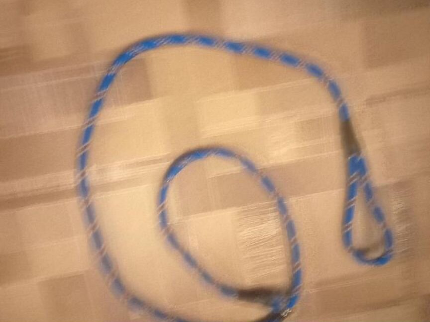 Поводок-ринговка