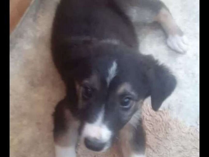 Мальчуган 3 мес