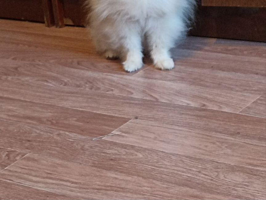 Супер девочка