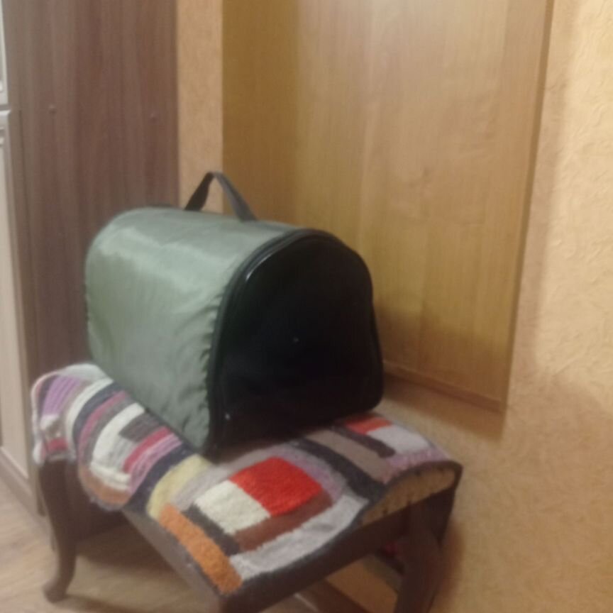 Сумка переноска для кошек бу