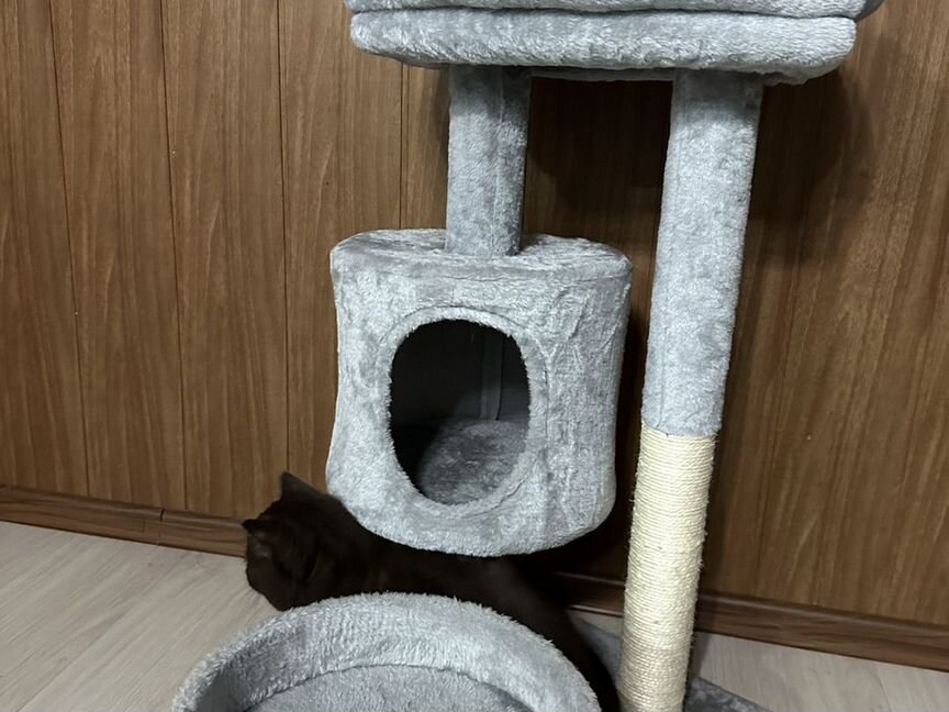 Комплекс для кошек с домиком и когтеточкой